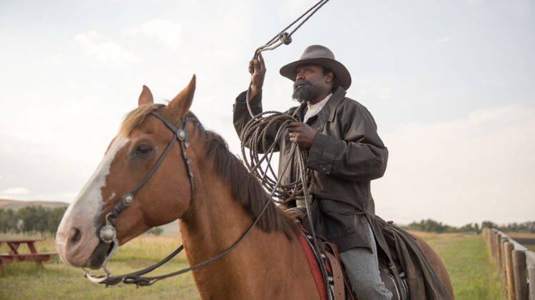 The Cinematheque / John Ware Reclaimed